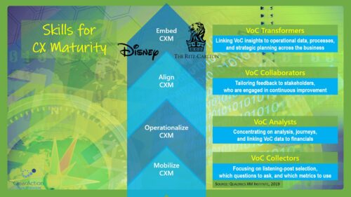 Assessment for Almost-Automatic CX Excellence